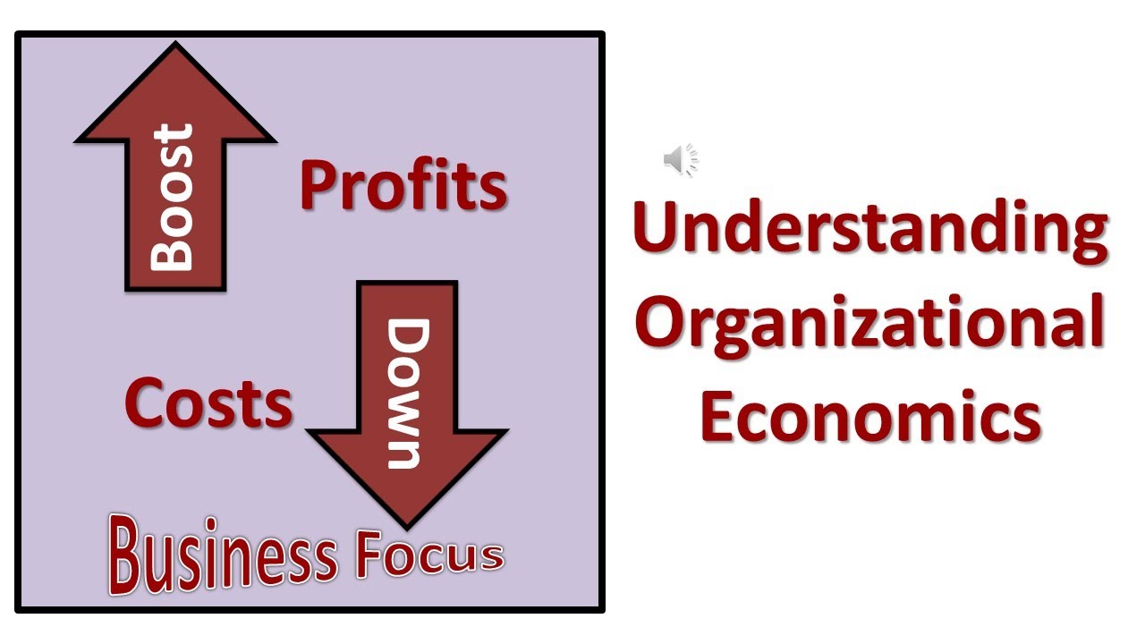 Understanding Organizational Economics - YouTube