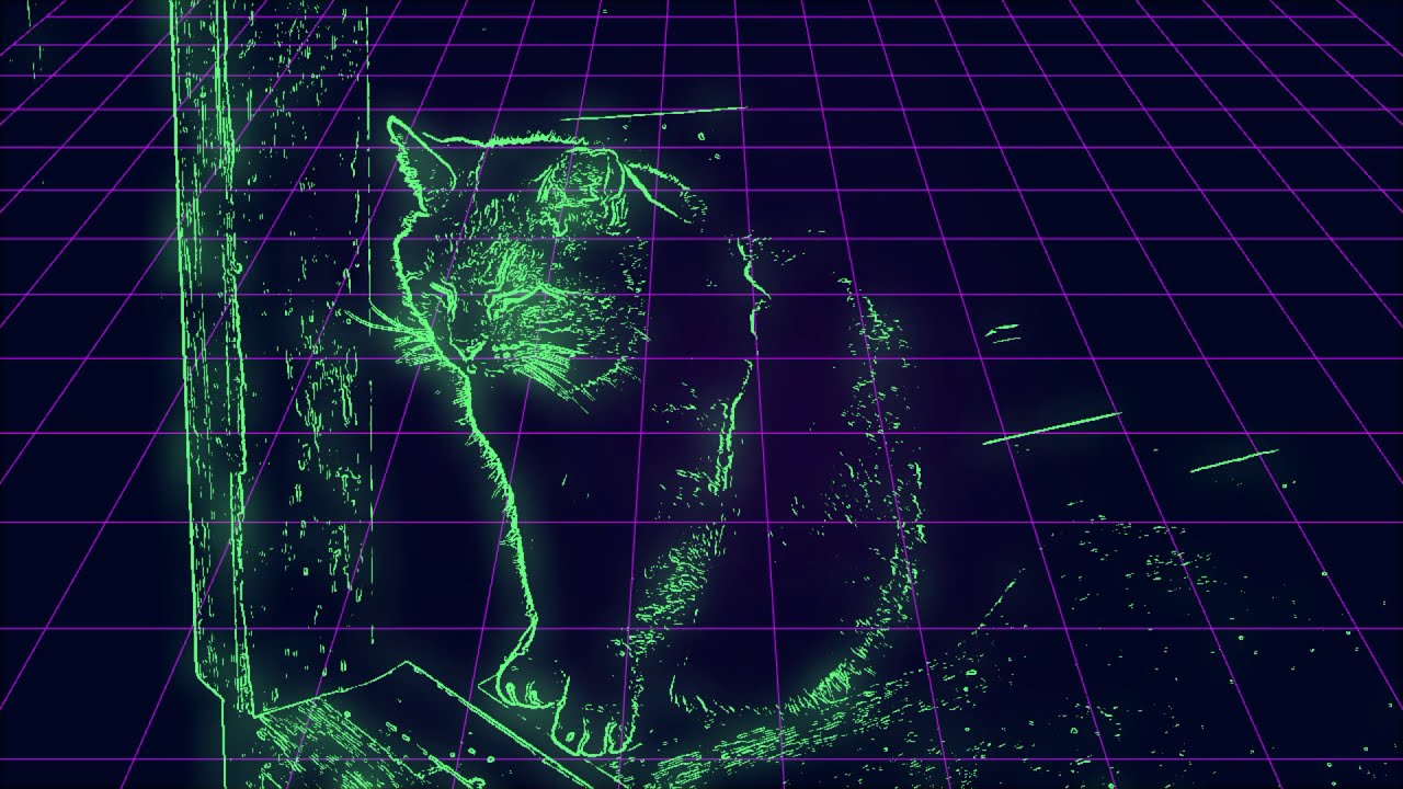 neon cat - YouTube
