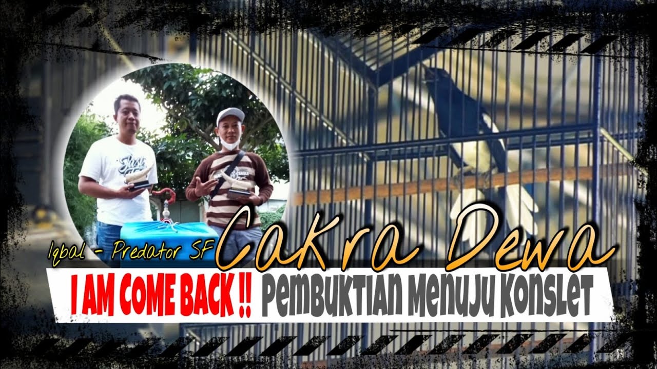 Sang Juara - Kacer CAKRA DEWA Ngamuk Di Lomba Temanggung Satu Titik ...