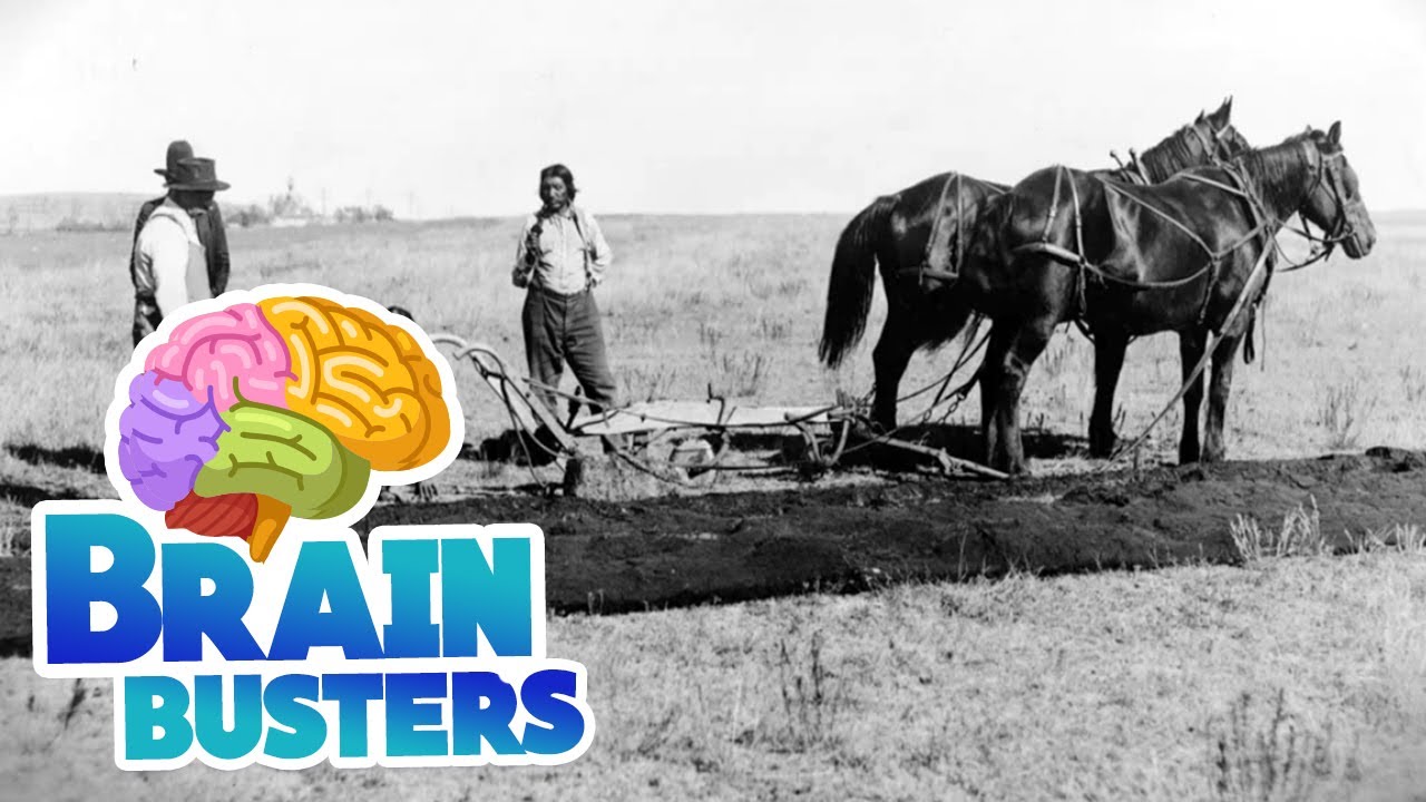 Serious Science: History of Soy - YouTube