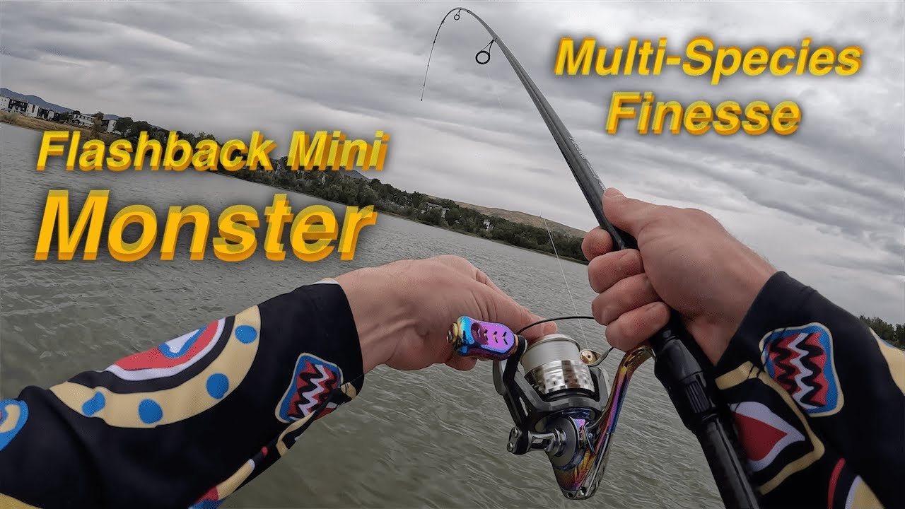 Multi-Species Ultralight Fishing At Smith Reservoir (Lakewood, Colorado ...