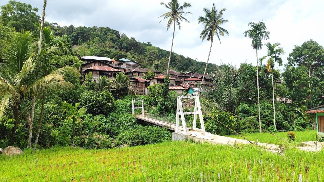 walking in a lush, beautiful and cool village with beautiful village ...