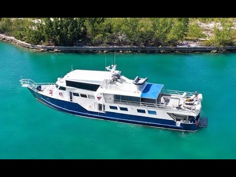 Bahamas Master - Shark diving liveaboard - YouTube