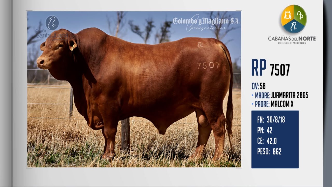 OV 5B RP 7507 - YouTube