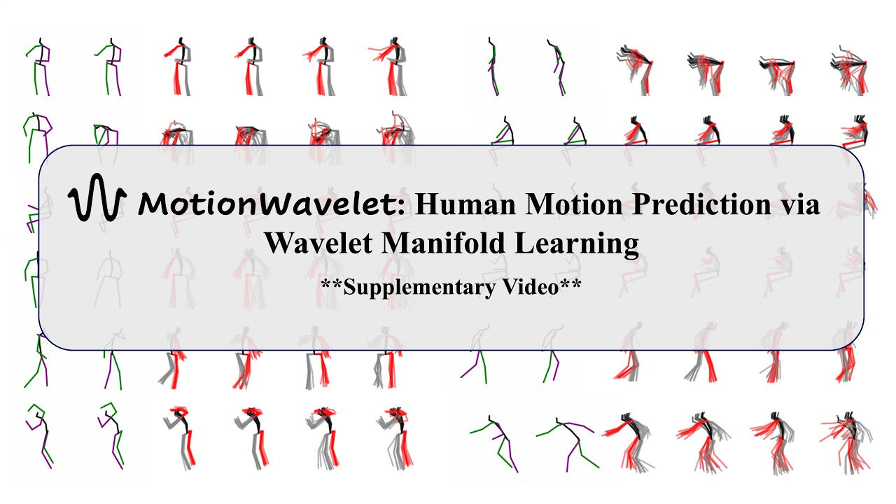 What Is Human Motion