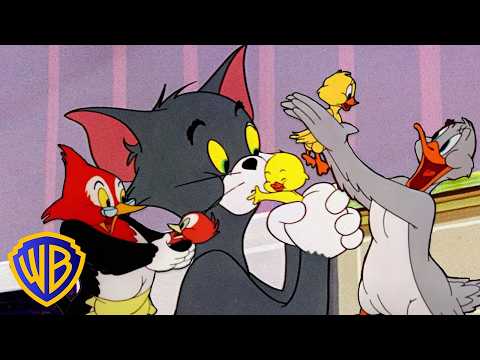 Tom & Jerry | Animal Moms! 🦆🐔 | @wbkids
