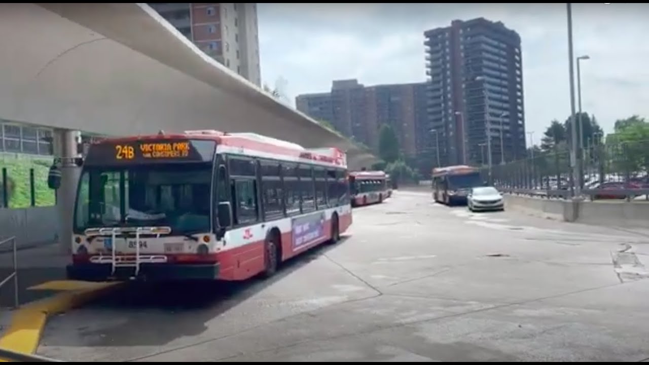TTC Route 24B Victoria Park Nova Bus Ride #8594 from Victoria Park Stn ...