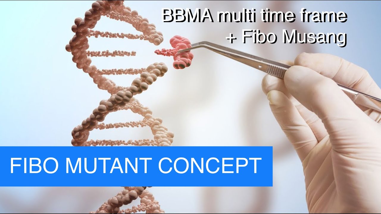 BBMA Multi Time Frame + FIBO MUSANG = FIBO MUTANT - YouTube