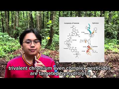 PS 109 - Relevance of Biochemistry in Environmental Science - Remediation - Group 3