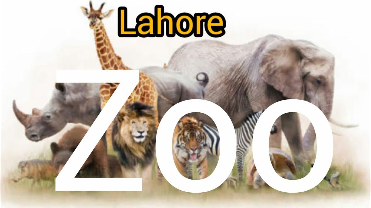 zoo/Pakistan Lahore zoo/lion/hippo/monkey/ostrich/parrot/crocodile ...
