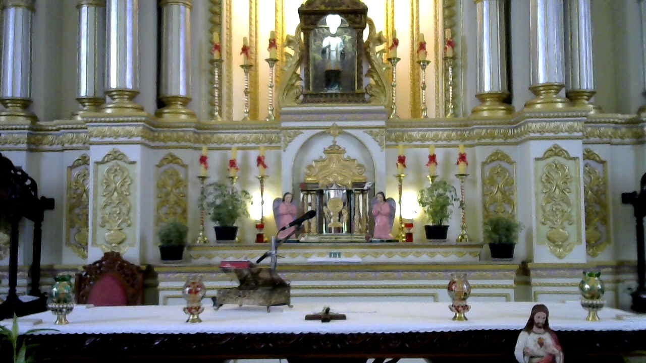 HOLY MASS AND ADORATION -LIVE | JUN -11| ST. FRANCIS XAVIER'S CHURCH ...