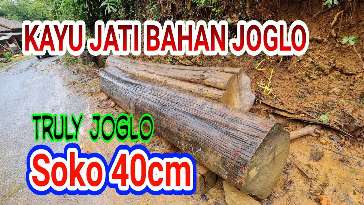 OLAH KAYU JATI BESAR ( JOGLO SOKO 40cm) HARUS CERMAT SUPAYA HASIL BAGUS ...