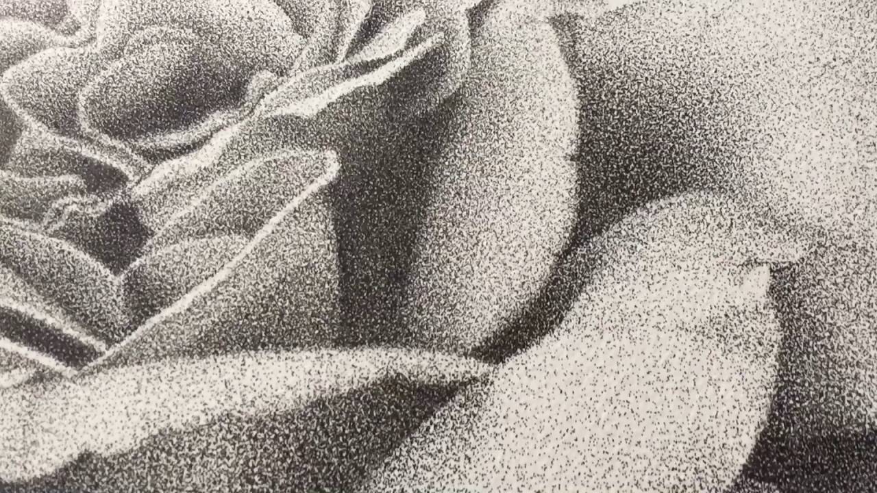 What 120 hours drawing with stippling - technique look like - YouTube