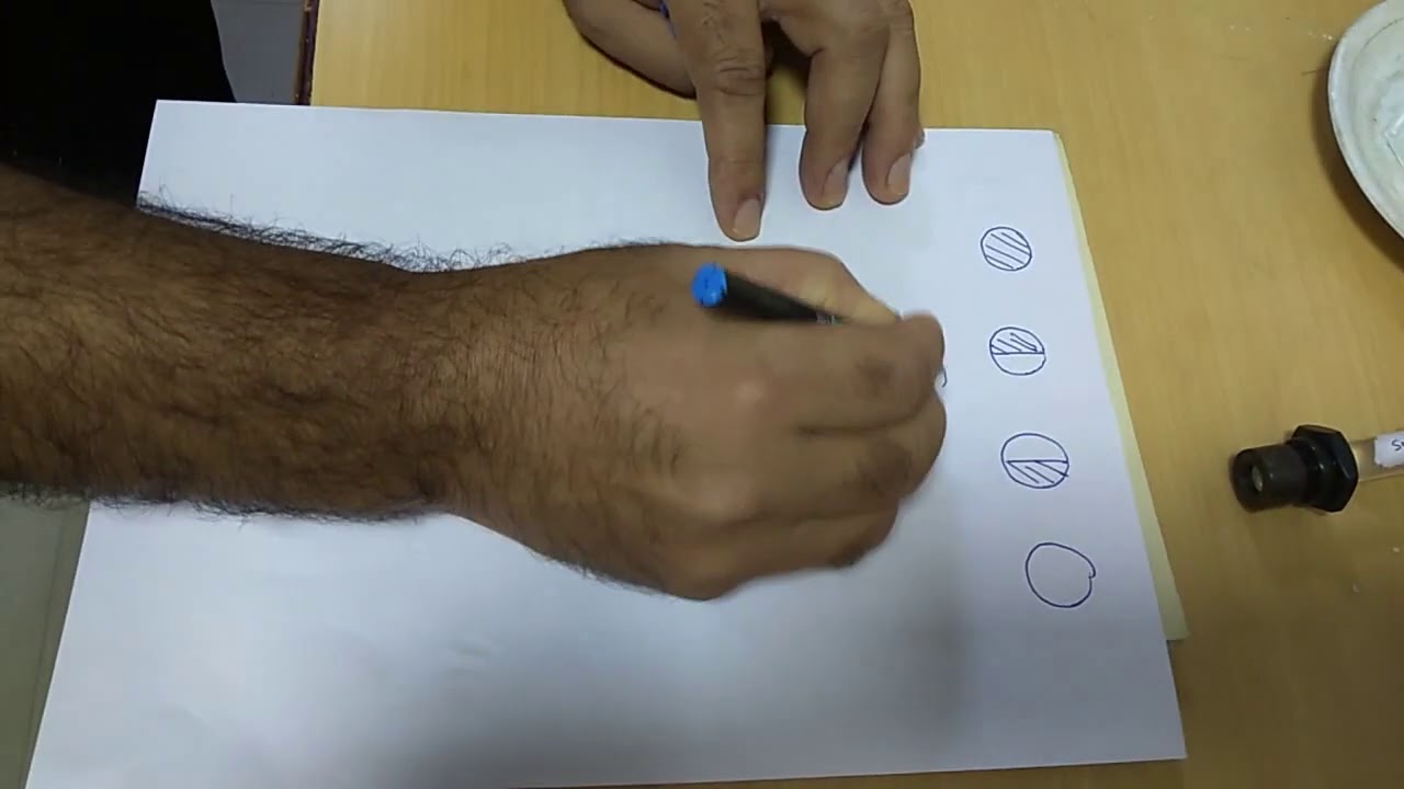 Experiment Specific Rotation Video 3/3 - YouTube