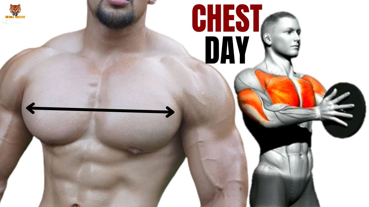 5 BEST CHEST WORKOUT AT GYM / Meilleurs exs Musculation De la poitrine ...