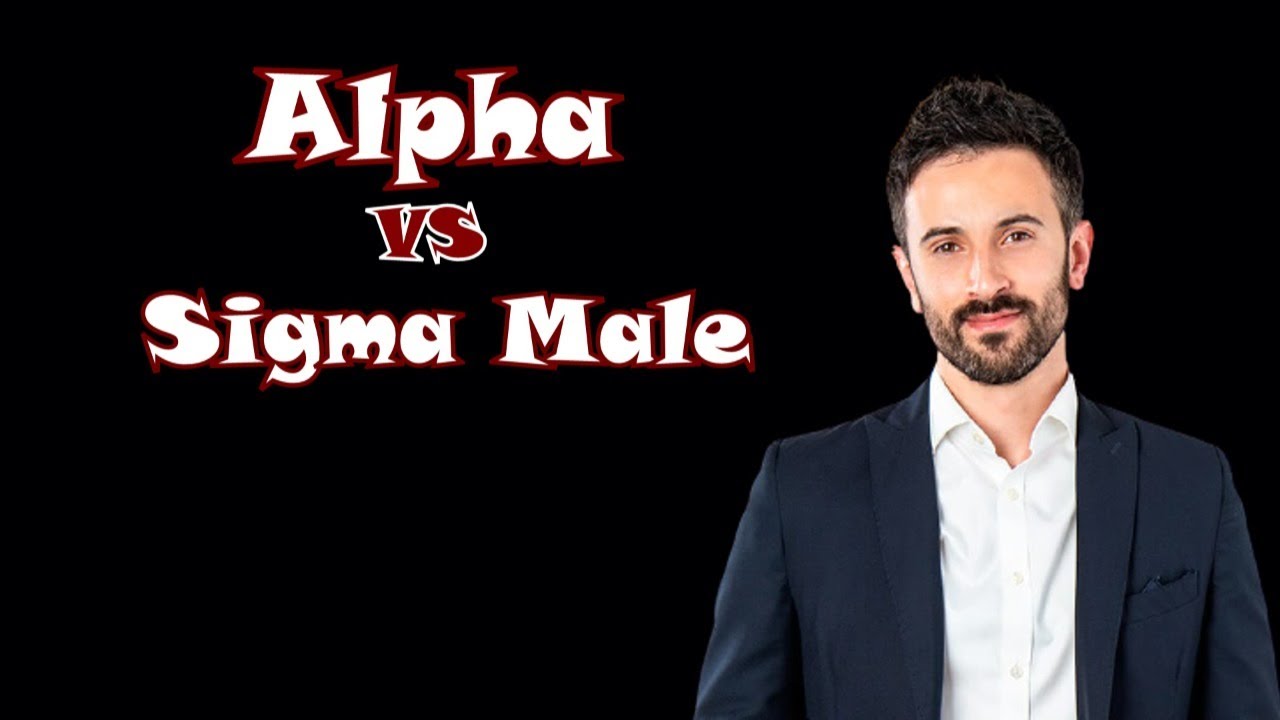 ALPHA VS SIGMA MALE!|Personality Types - YouTube