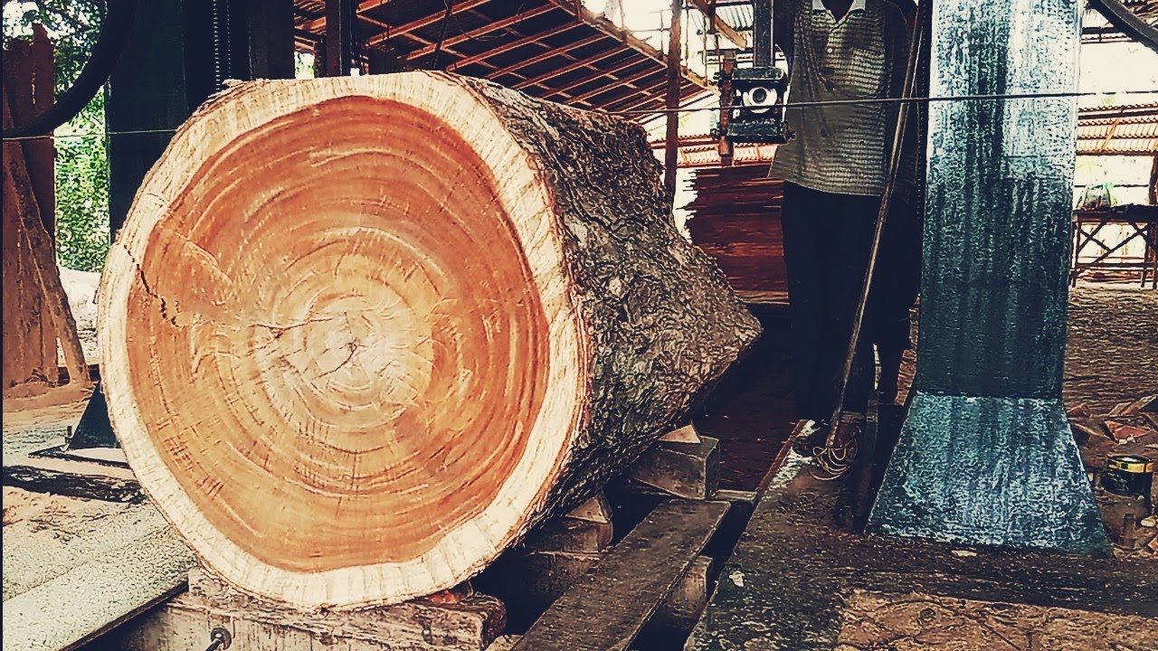 Amazing heavy duty band sawmill cutting monster log its amazing - YouTube