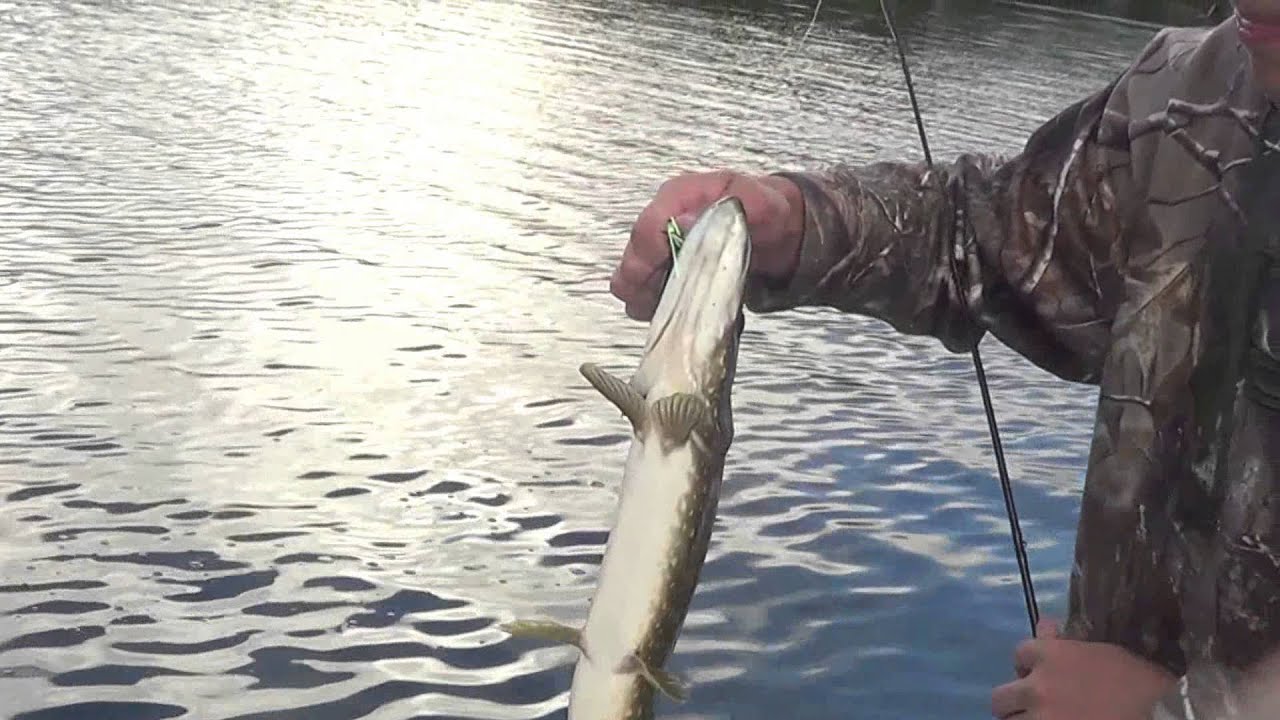 Casting Spoons For Northern Pike - YouTube