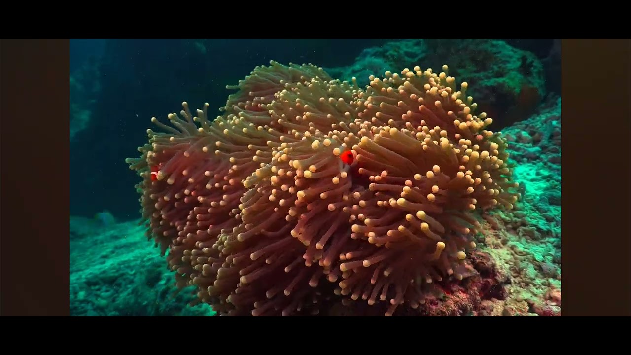 8K UHD: The ultimate ultra-high definition.Nearly 8,000 pixels wide, 8K ...