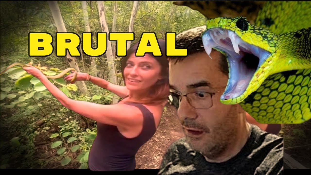 Rescato a mi abogado de serpiente para que no me cobre. - YouTube