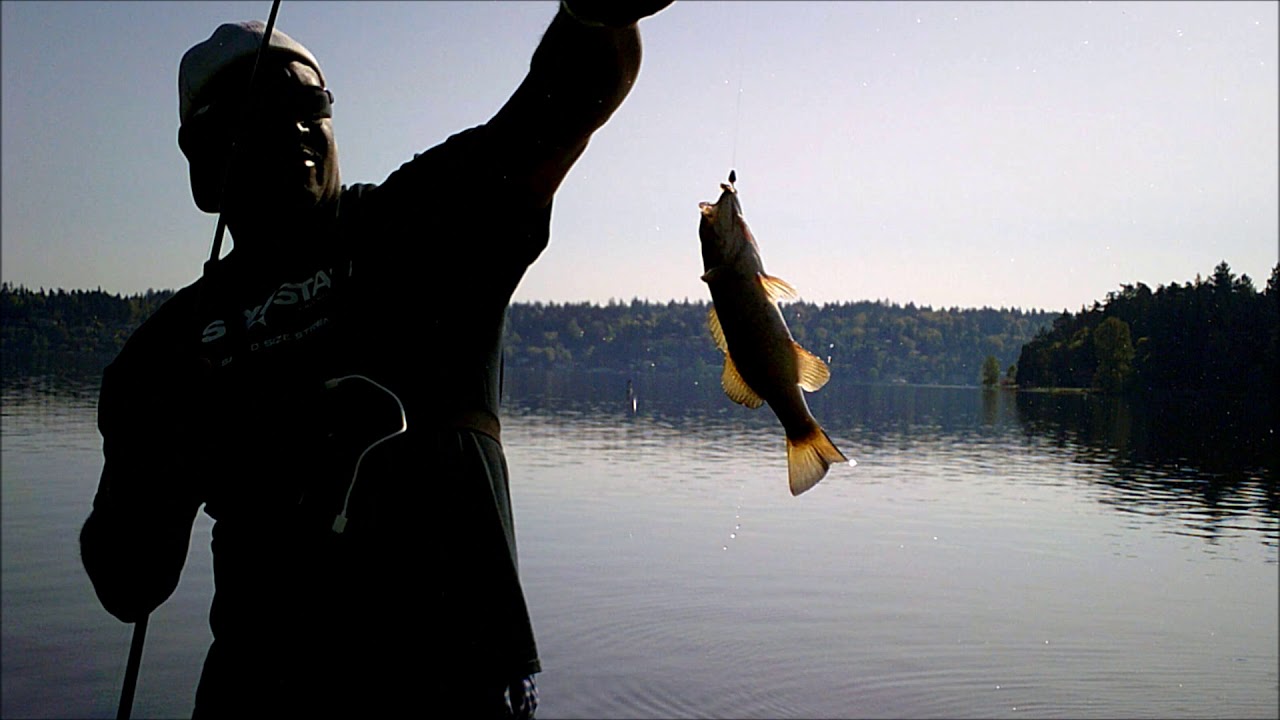 Lake Washington Bass Fishing 2018 - YouTube