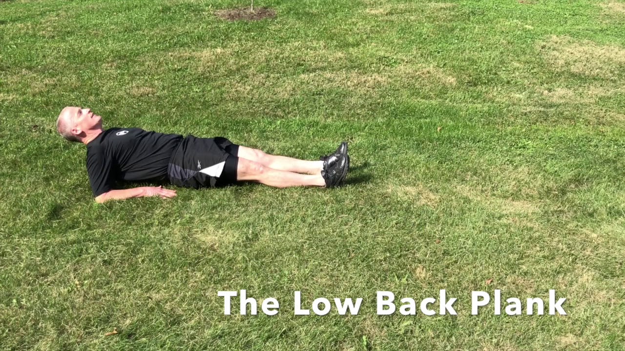 How to do the Low Back Plank Exercise - YouTube