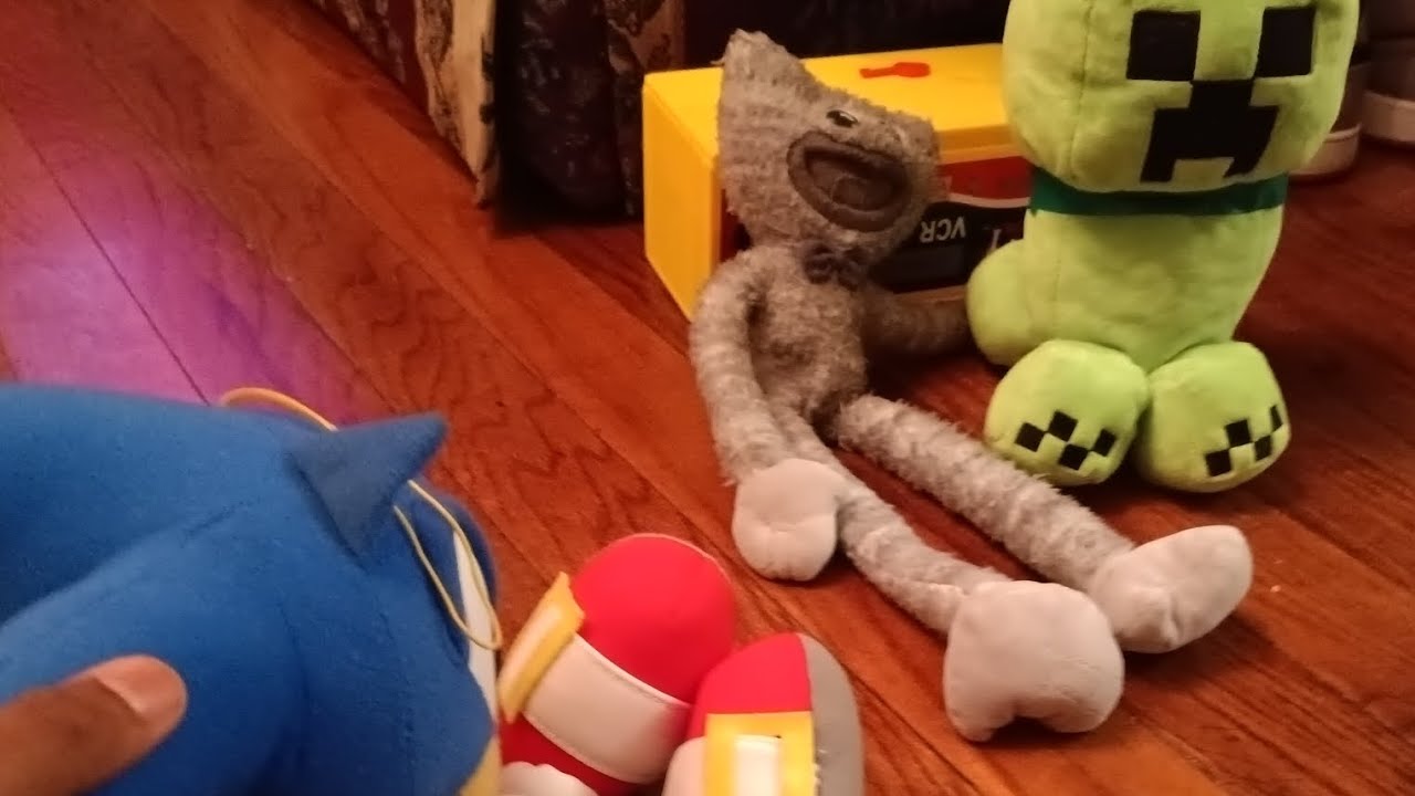 Sonic vs Huggy ( Sonic plush battle) - YouTube