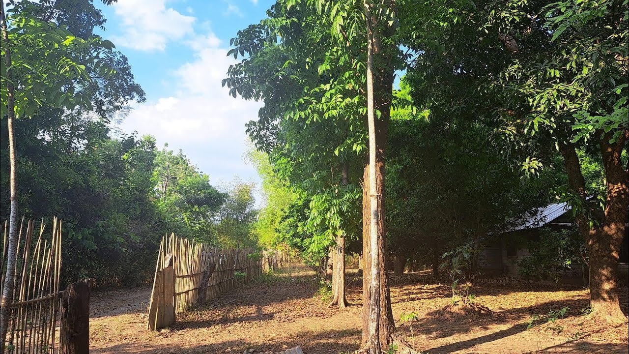 3.9 Hectare Farm Lot along the Road in San Antonio, Zambales - YouTube