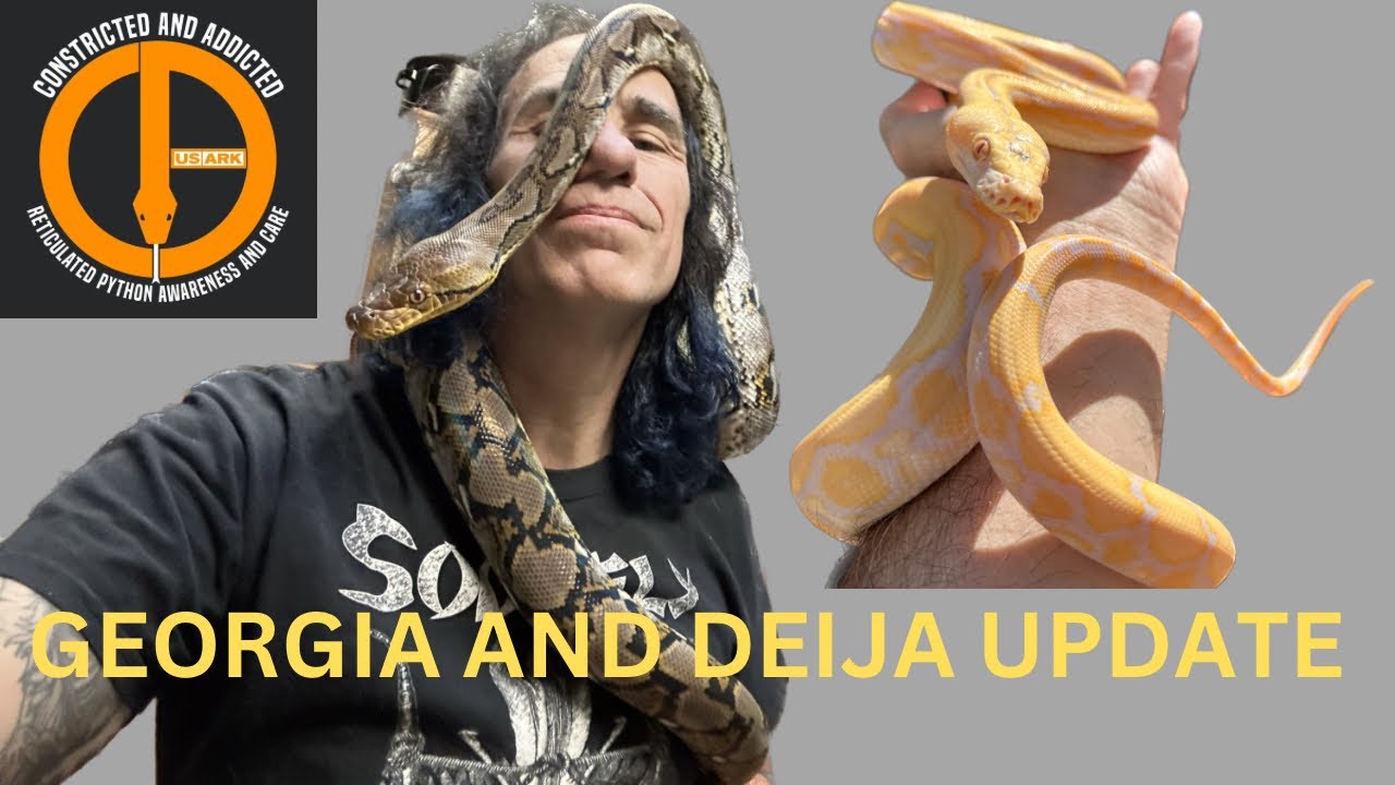 Georgia and Deija Update! - YouTube