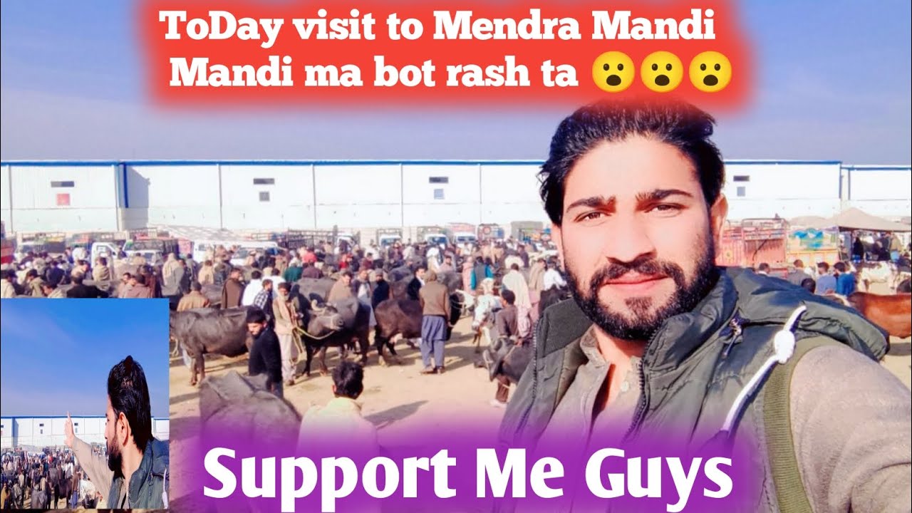 ToDay visit to mendra Mandi. /////Eid sa pehla he 2 bulls la ay APni ...