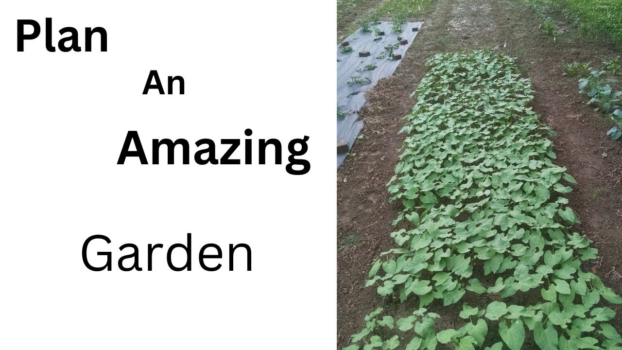 Plan Your Amazing Garden (1)garden planning for beginners - YouTube