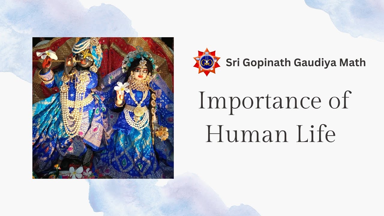 Importance of human life - YouTube