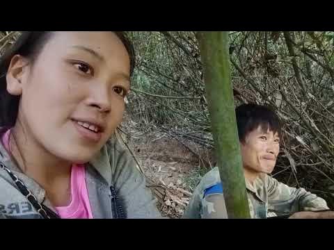 tuaj txog tshav nyuj ces peb mus nram teb taub ntoos cuab noog - YouTube