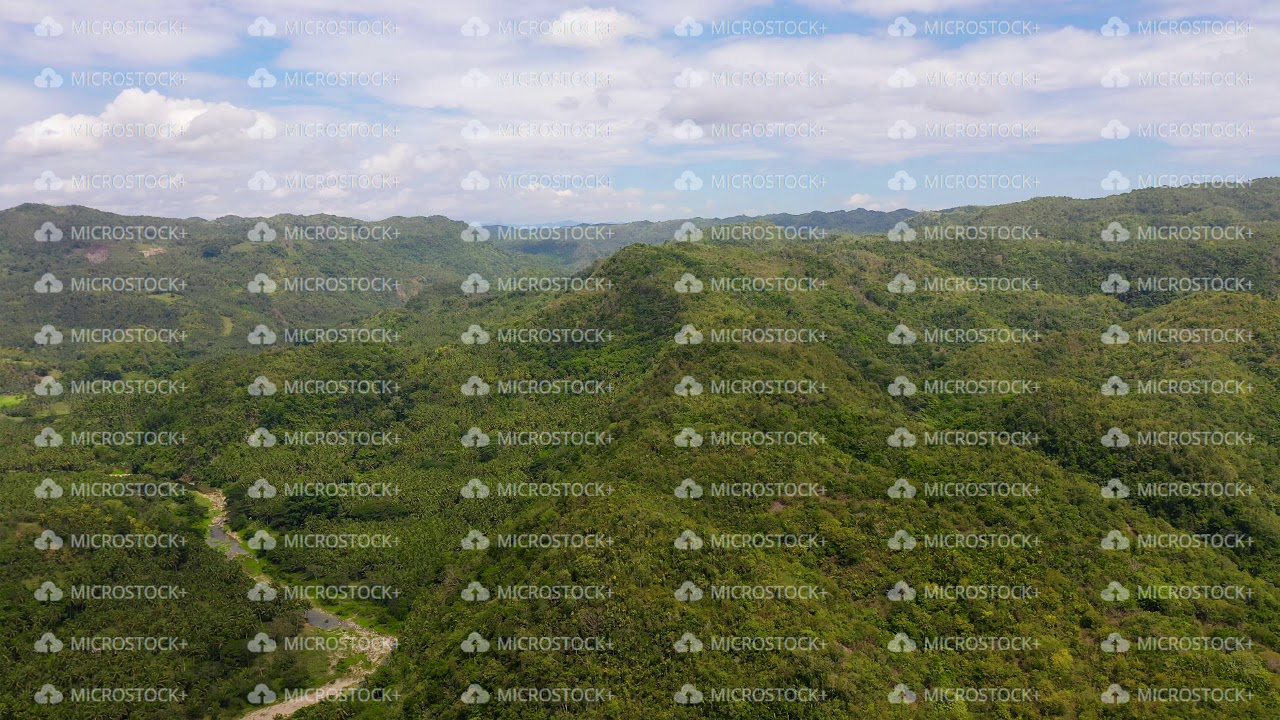 Mountain landscape with rainforest, aerial view. Mountains on Leyte ...