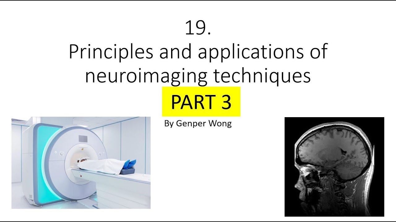 HKBB101 | 19 PART 3 | Principles and applications of neuroimaging ...