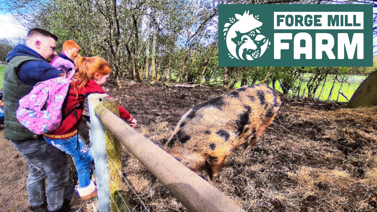 Forge Mill Farm - YouTube
