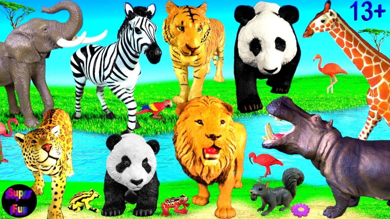 Zoo Animals - Tiger, Lion, Elephant, Jaguar, Hippo, Zebra, Giraffe ...
