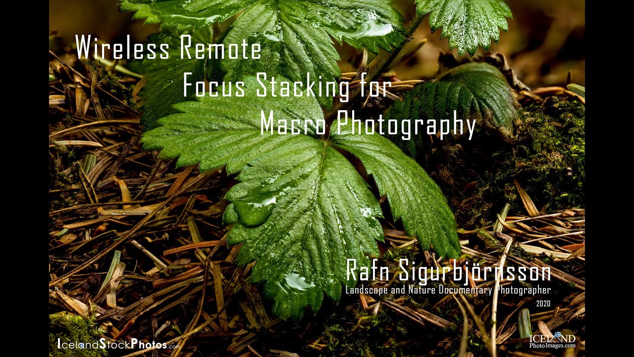 Wireless Remote Focus Stacking for Macro Photography │ All you need to ...