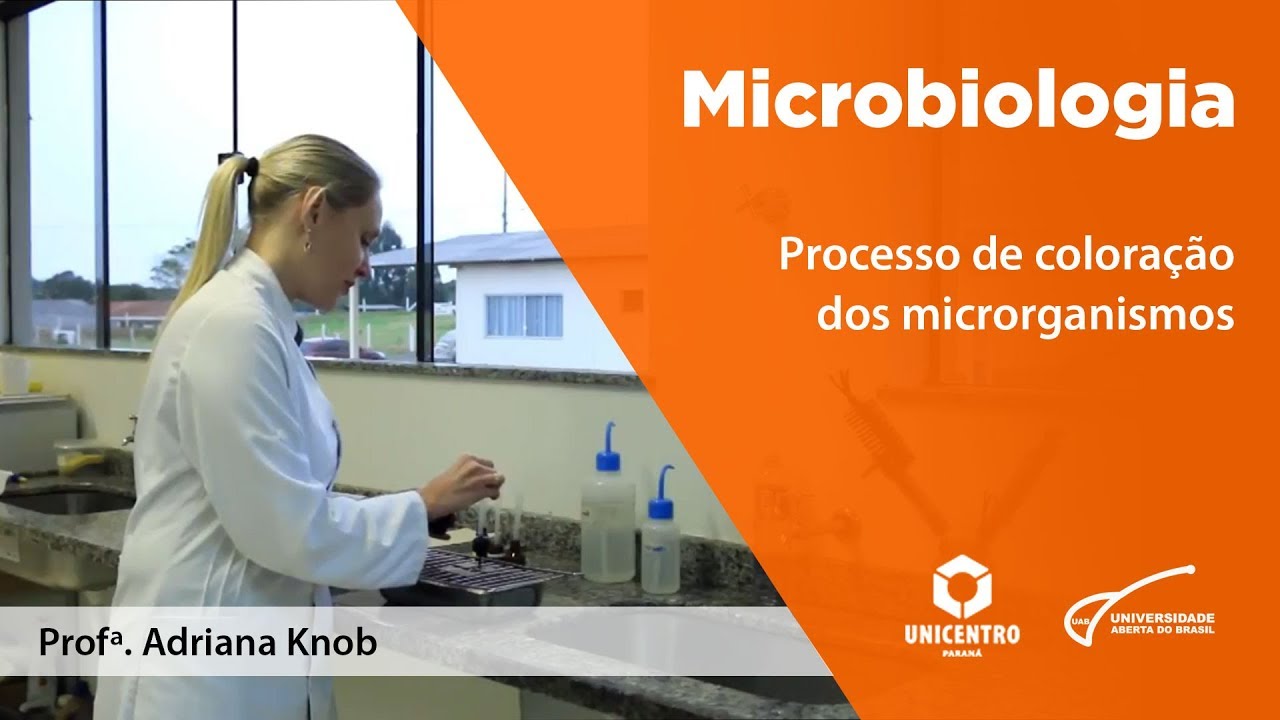 [BIO] Processo de coloração dos microrganismos - YouTube