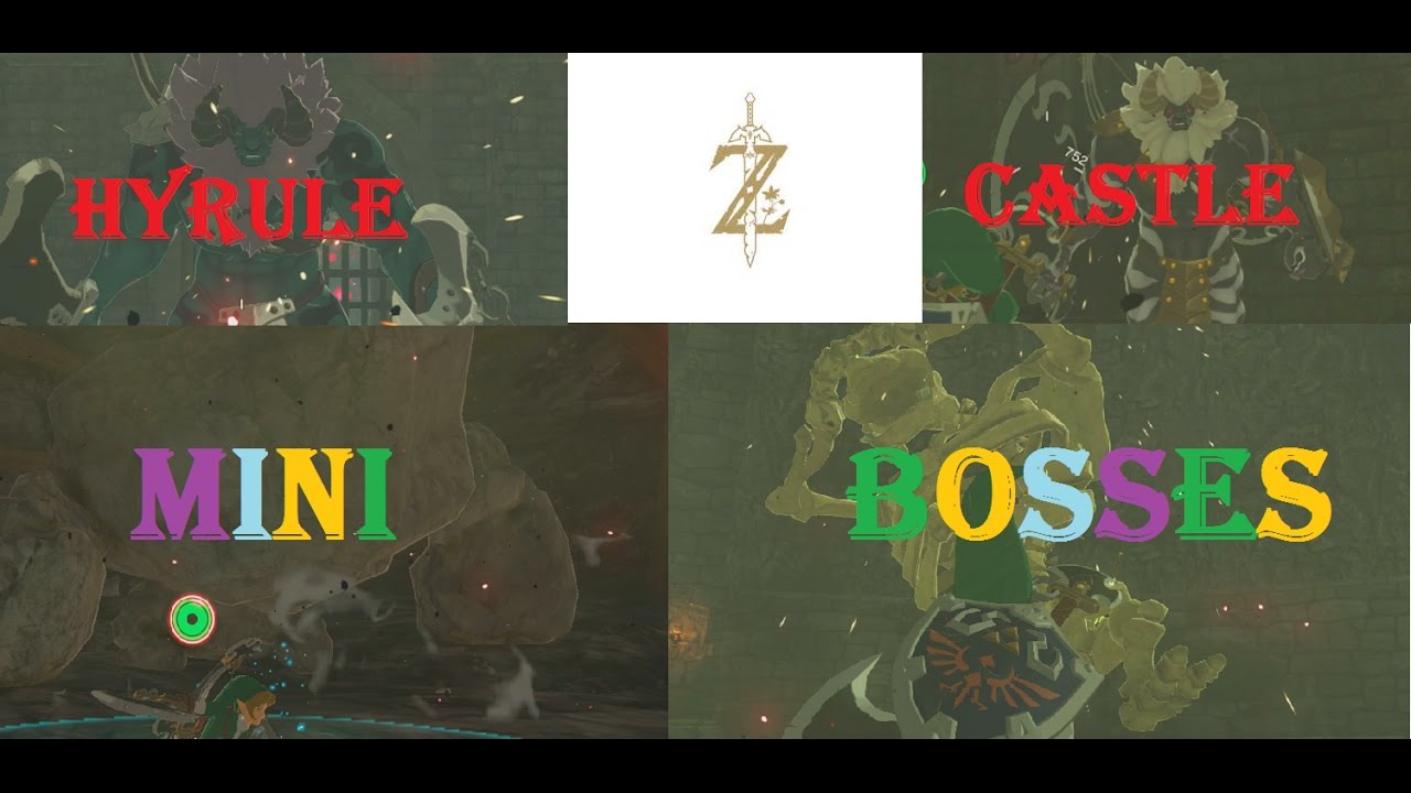 Beast Mode on Every Mini Boss Hyrule Castle BotW - YouTube