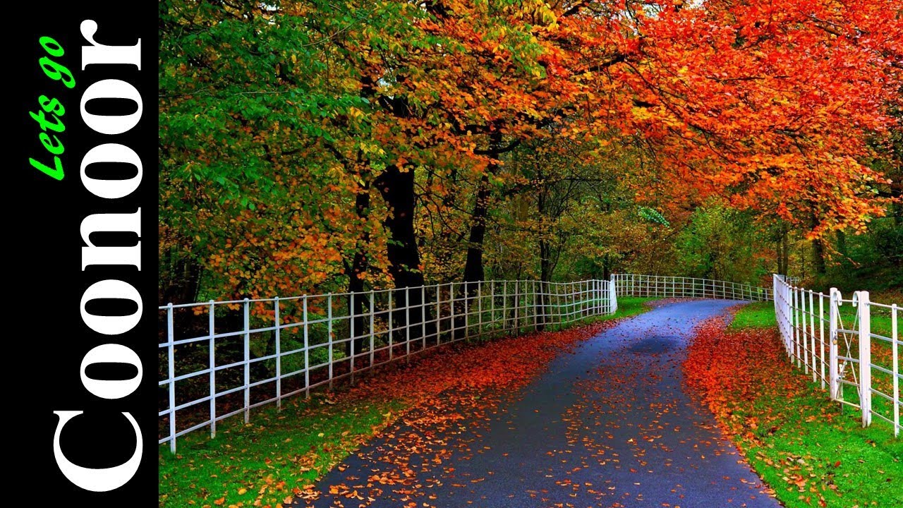 ooty in Winter | ooty tourist places | ooty trip | ooty vlog | ooty ...