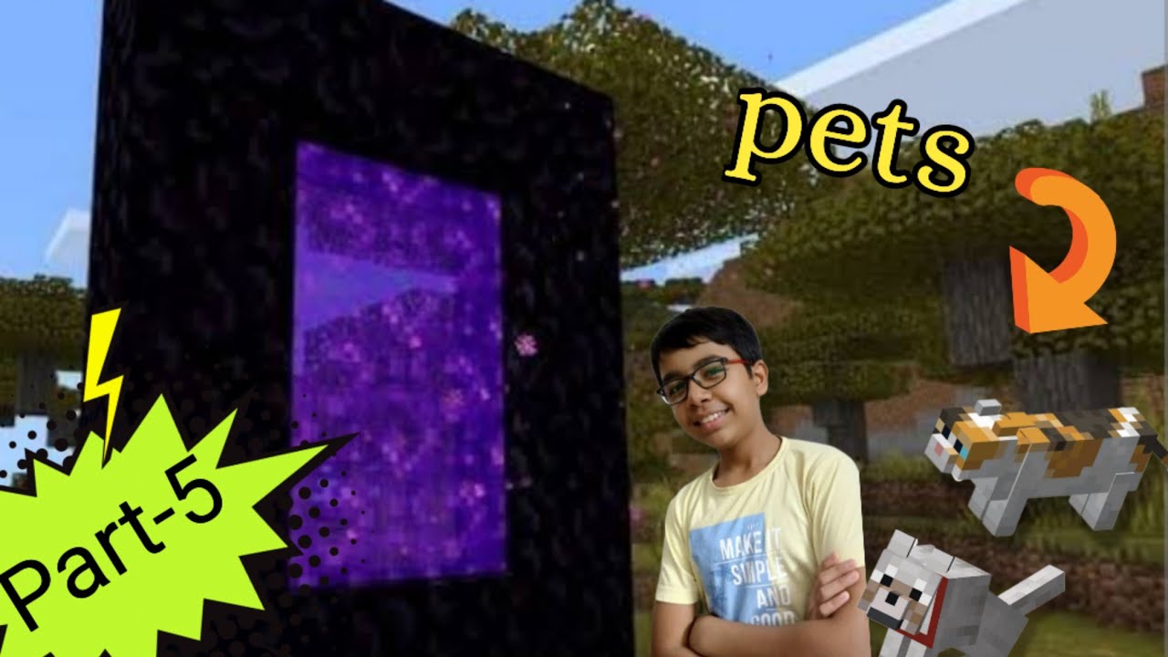 Minecraft survival (going to nether, taming pets etc) - YouTube