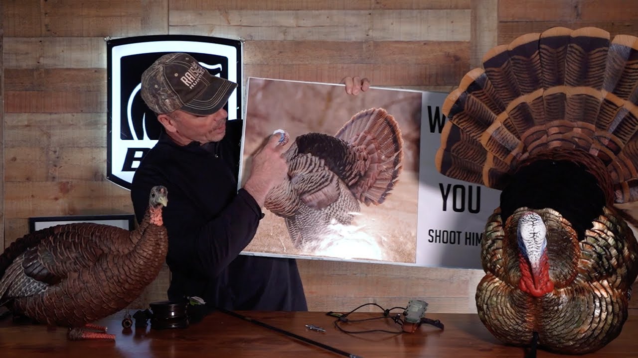 Turkey Head Shots With a Bow | Is It The Best Shot | Shot Placement on ...