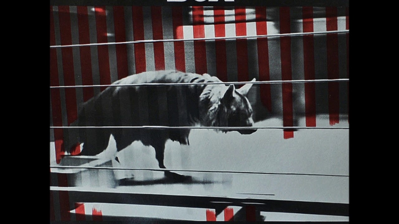 The Box-Low Commotion - YouTube Music