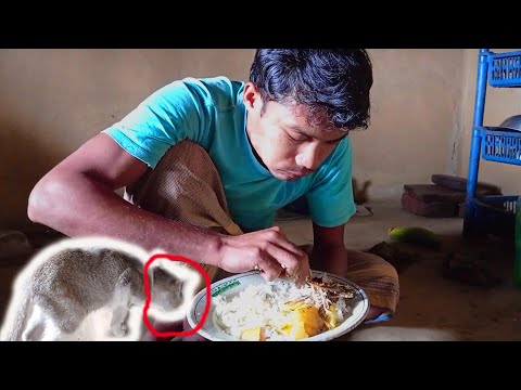 Poor Boy Eating rice with dried fish of bangladesh, eating village style, Rural life, bangladeshi