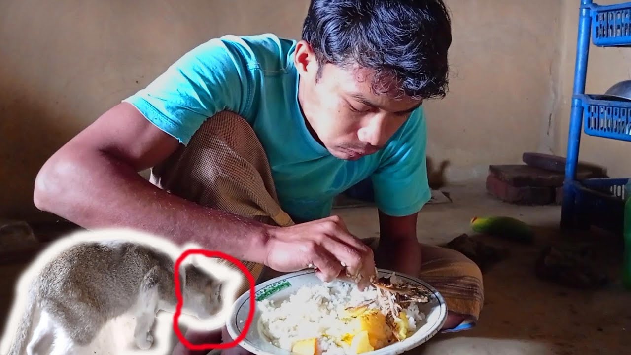 Poor Boy Eating rice with dried fish of bangladesh, eating village ...
