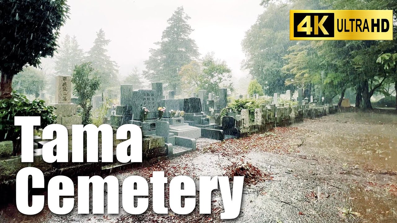 雨の多摩霊園 Rainy Tama Cemetery【Tokyo Backstreet Walk】 (4K) - YouTube