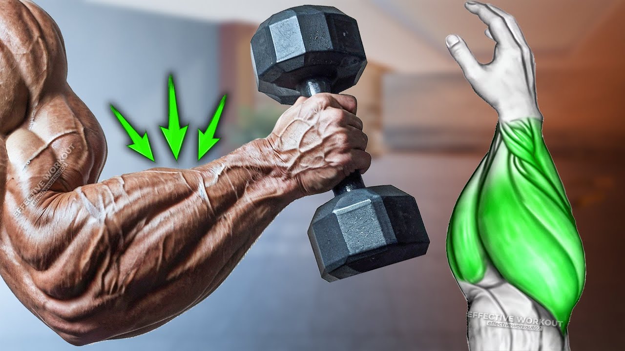 Build Huge Forearms Grow Fast (5 Effective Exercise) - YouTube