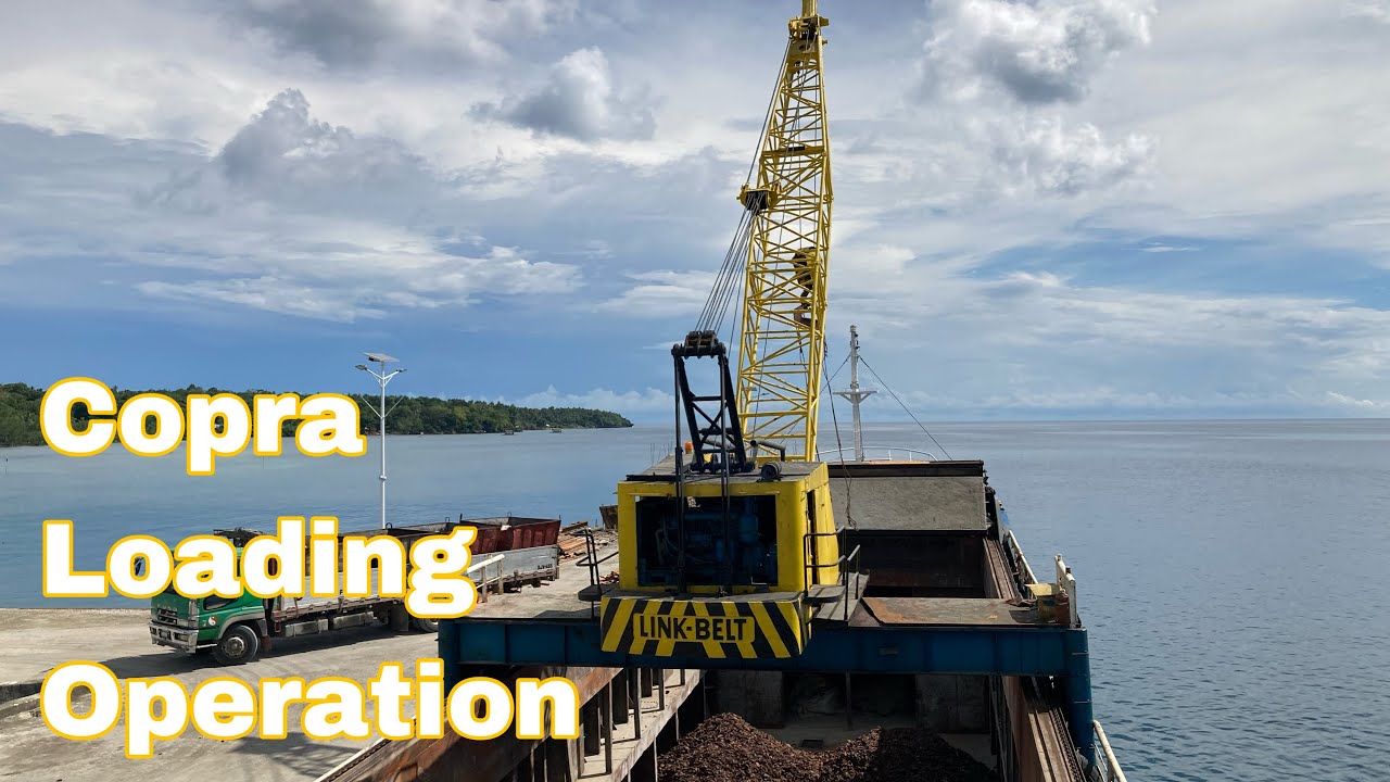 Copra Loading Operation | General Cargo Ship | During my son ...