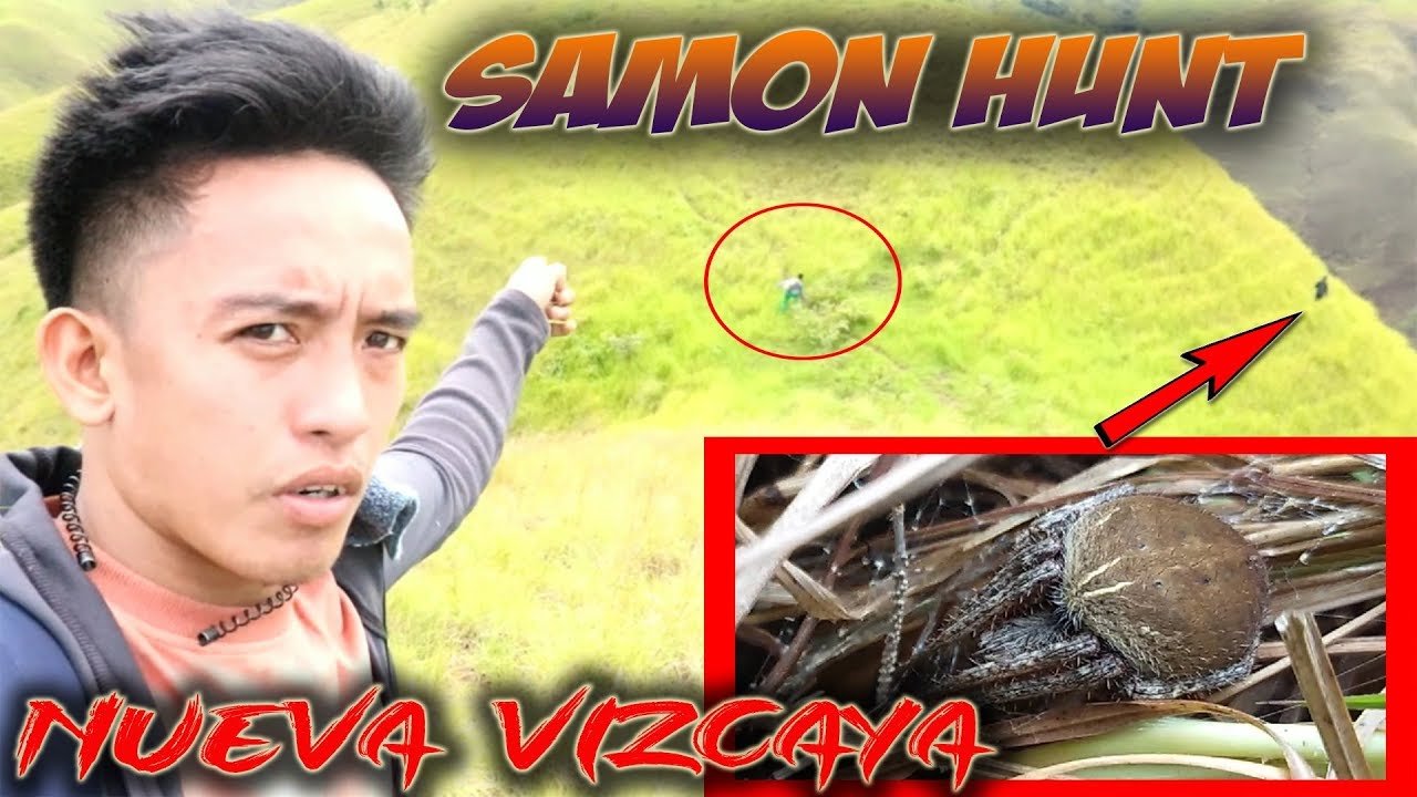 THE HARDEST SPIDER HUNT IS THE BEST HUNT (lalo na pag ganito kababait ...